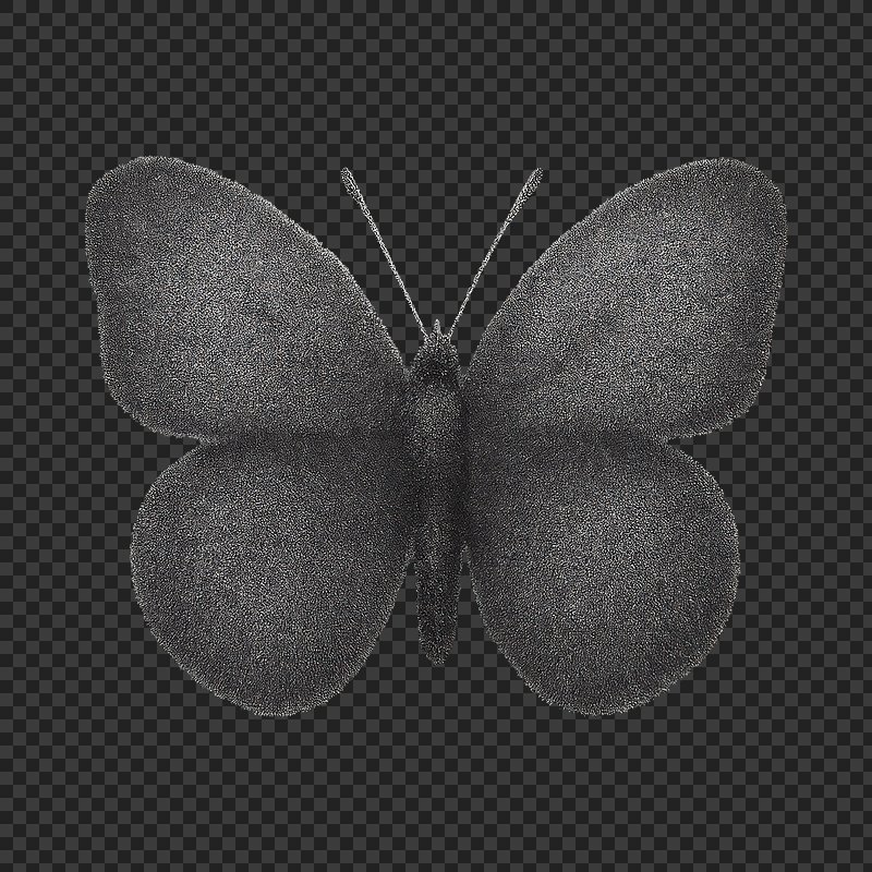 Monochrome+butterfly Shadow Images | Free Photos, PNG Stickers ...