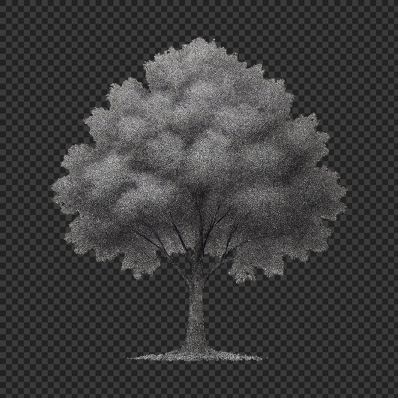 Maple Trees PNG Texture Images | Free Photos, PNG Stickers, Wallpapers ...