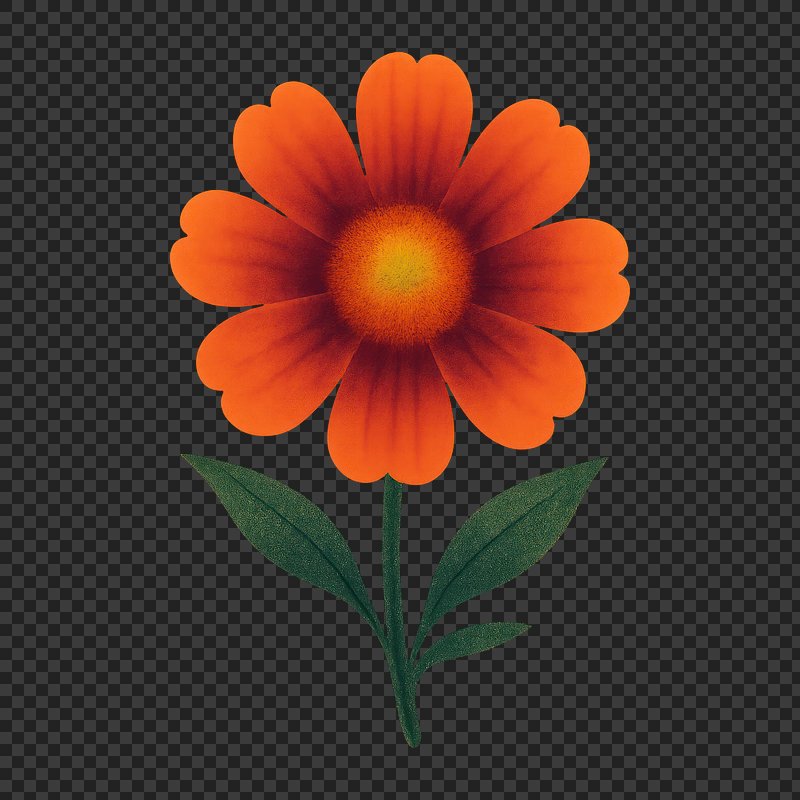 Orange Cosmos Flower Design Images | Free Photos, PNG Stickers ...
