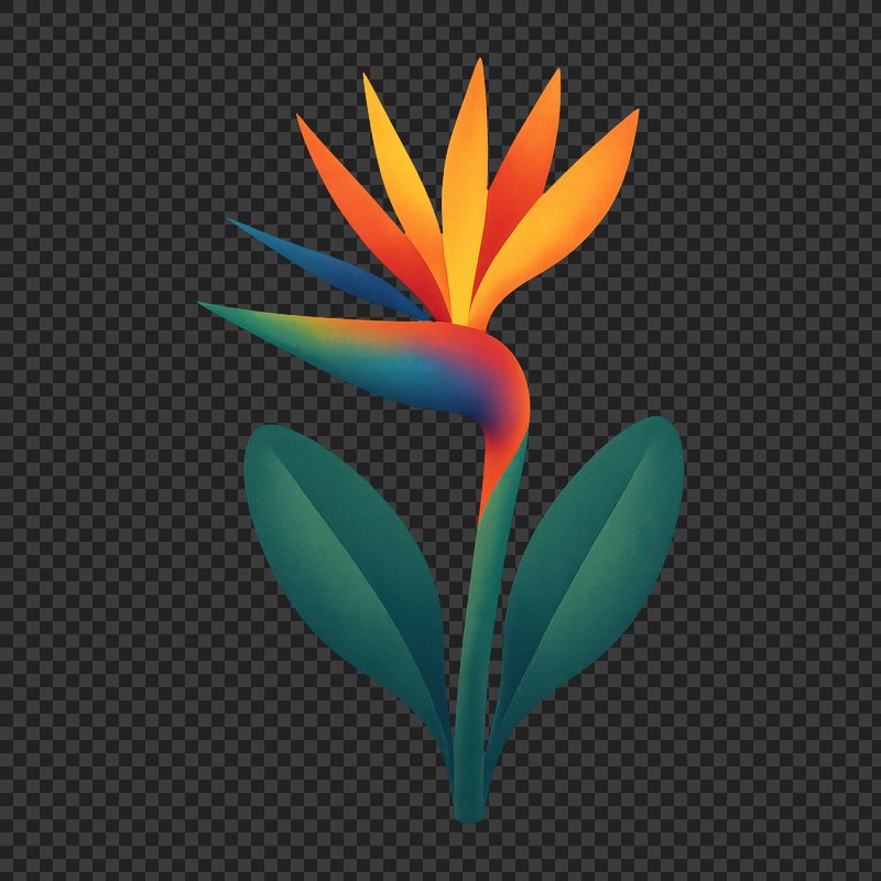 Outline Flowers Botanical Images | Free Photos, PNG Stickers ...