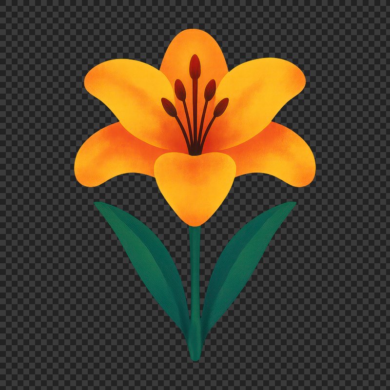 Lily Line PNG Shadow Images | Free Photos, PNG Stickers, Wallpapers ...