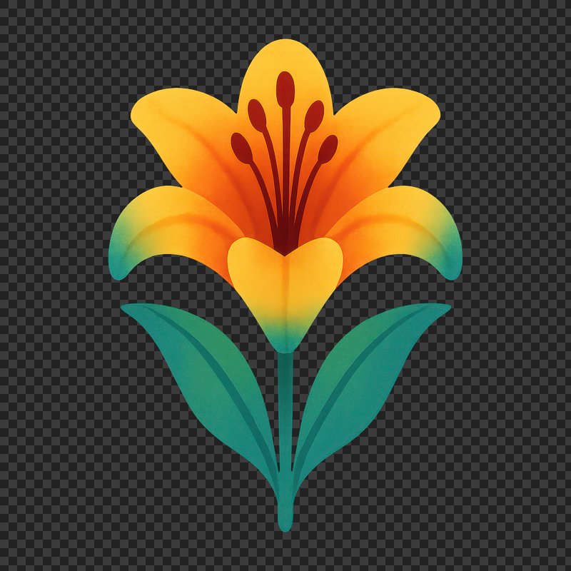 Lilies Orange Color Design Images | Free Photos, PNG Stickers ...