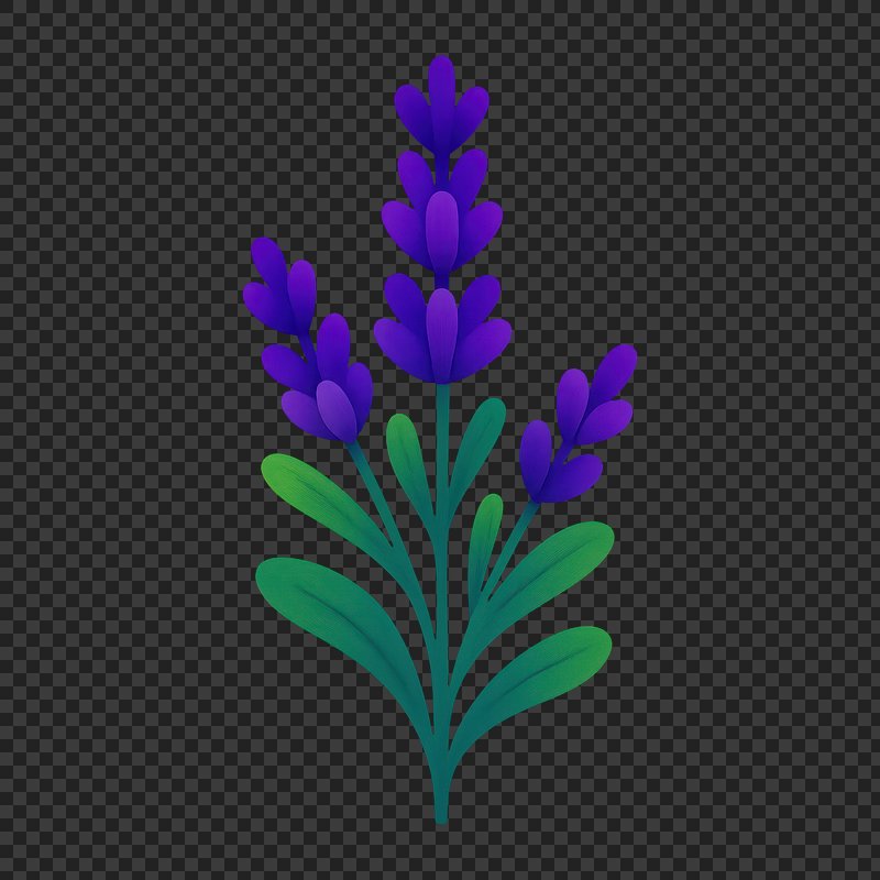 Botanic Herbal Shadow Images | Free Photos, PNG Stickers, Wallpapers ...