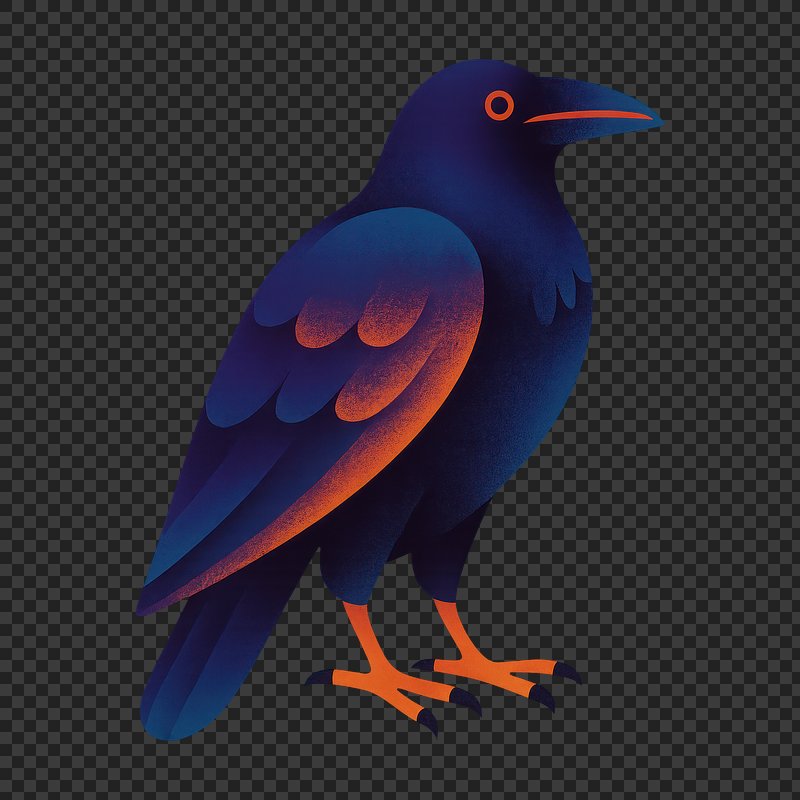 Crows PNG Transparent Images | Free Photos, PNG Stickers, Wallpapers ...