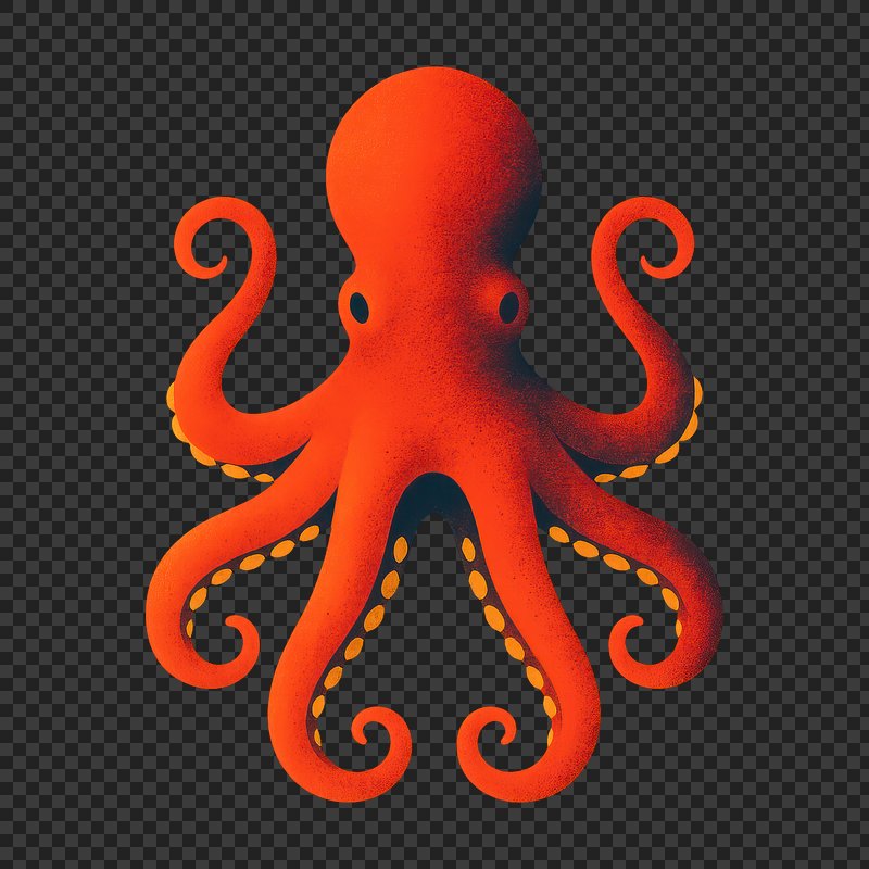 Octopus+coloring Texture Images | Free Photos, PNG Stickers, Wallpapers ...