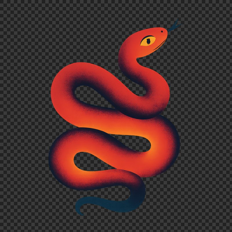 Snake Background Animal Transparent Design Vintage Images | Free Photos ...
