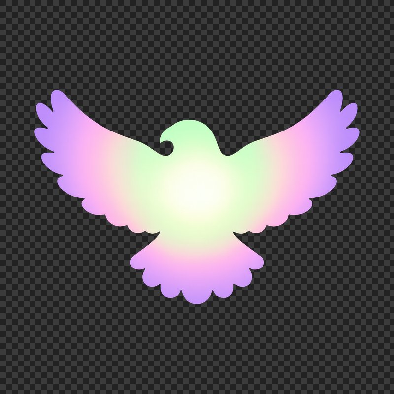 White Eagles Illustration Light Shadow Images | Free Photos, PNG ...