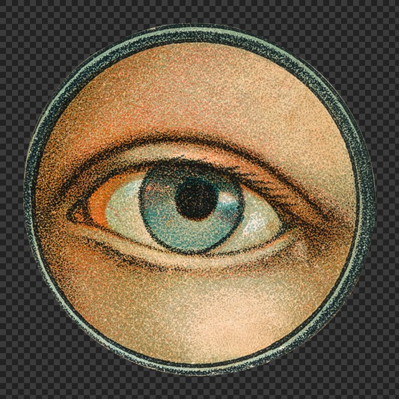 Promoted+illustration Promotion PNG Images | Free Photos, PNG Stickers ...