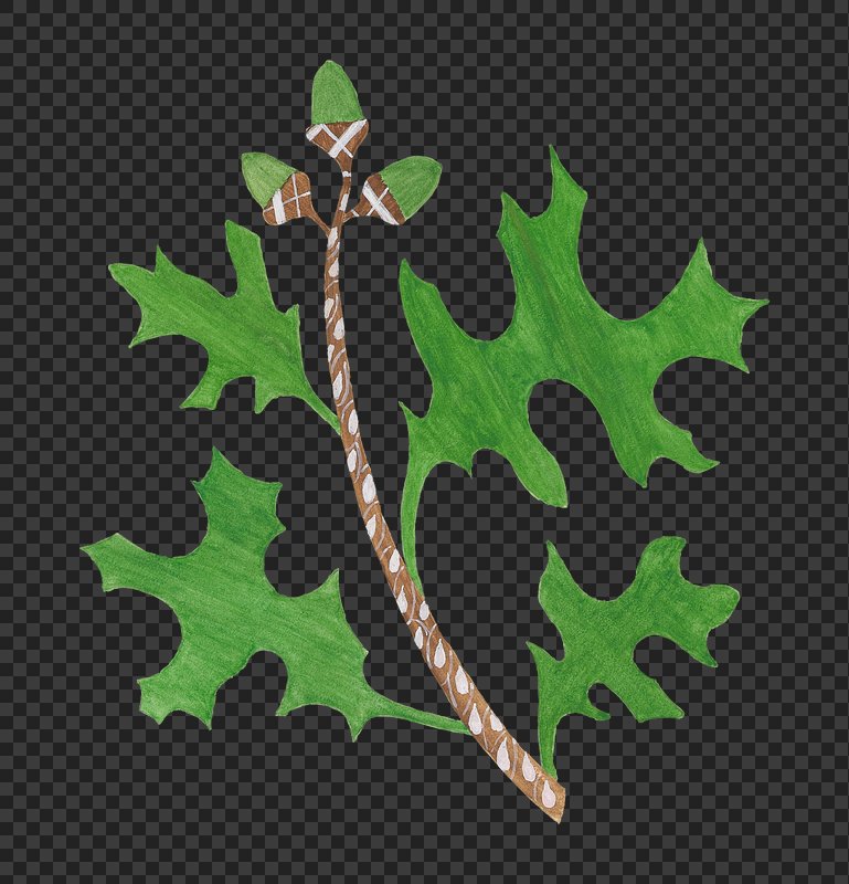 Leaves Photos Green Nature PNG Images | Free Photos, PNG Stickers ...