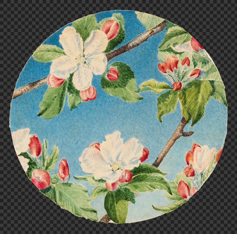 Plant Flower Pattern Floral Vintage PNG Images | Free Photos, PNG ...