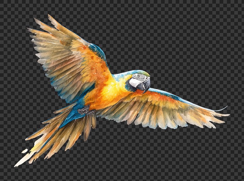 Parrot Watercolour Wildlife Images | Free Photos, PNG Stickers ...
