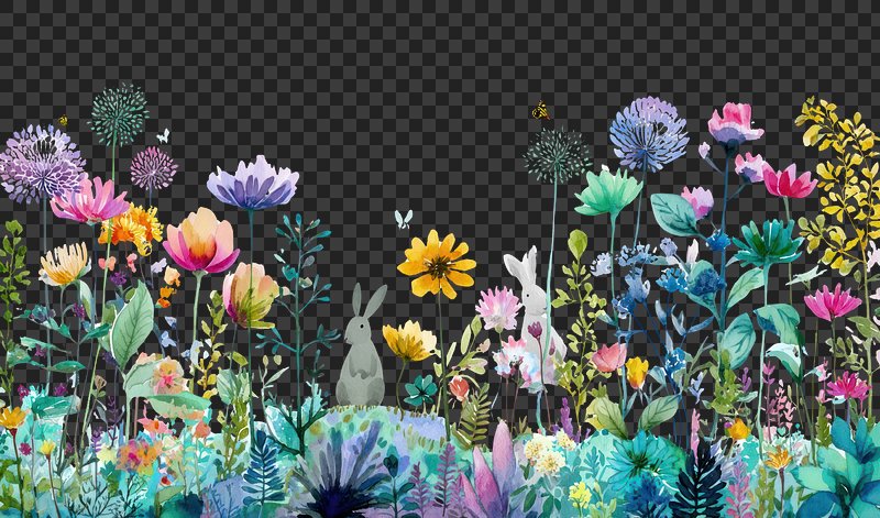 Water Color Butterfly Illustration Border Images | Free Photos, PNG ...