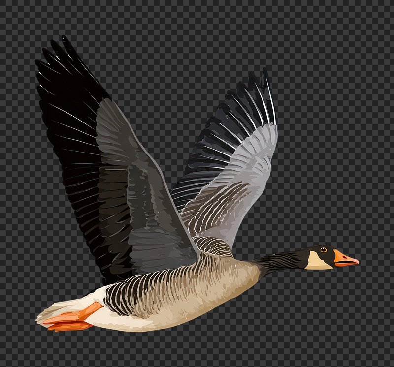 Geese+clipart PNG Images | Free Photos, PNG Stickers, Wallpapers ...
