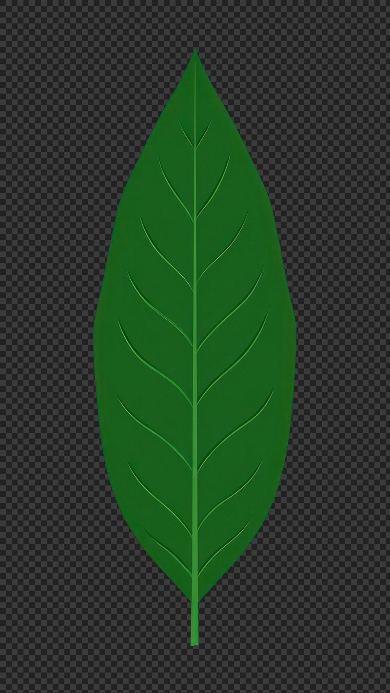 Vein Plant Green Images | Free Photos, PNG Stickers, Wallpapers ...