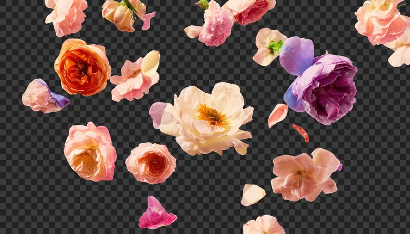 Solid Rose PNG Transparent Images | Free Photos, PNG Stickers ...
