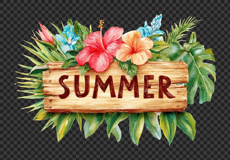 Summer Florals Design Flower Illustration Images | Free Photos, PNG ...