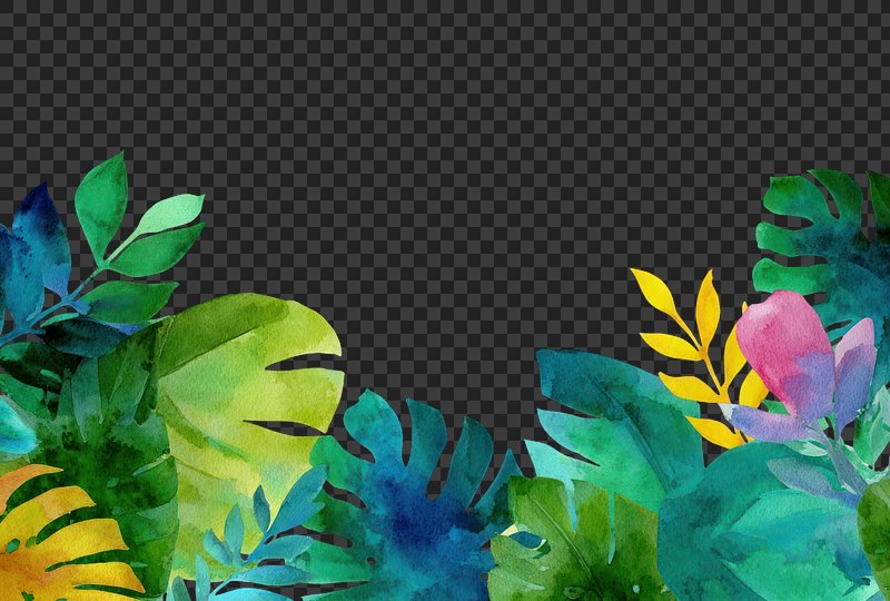 Summer Floral Border Transparent Background Nature Images | Free Photos ...