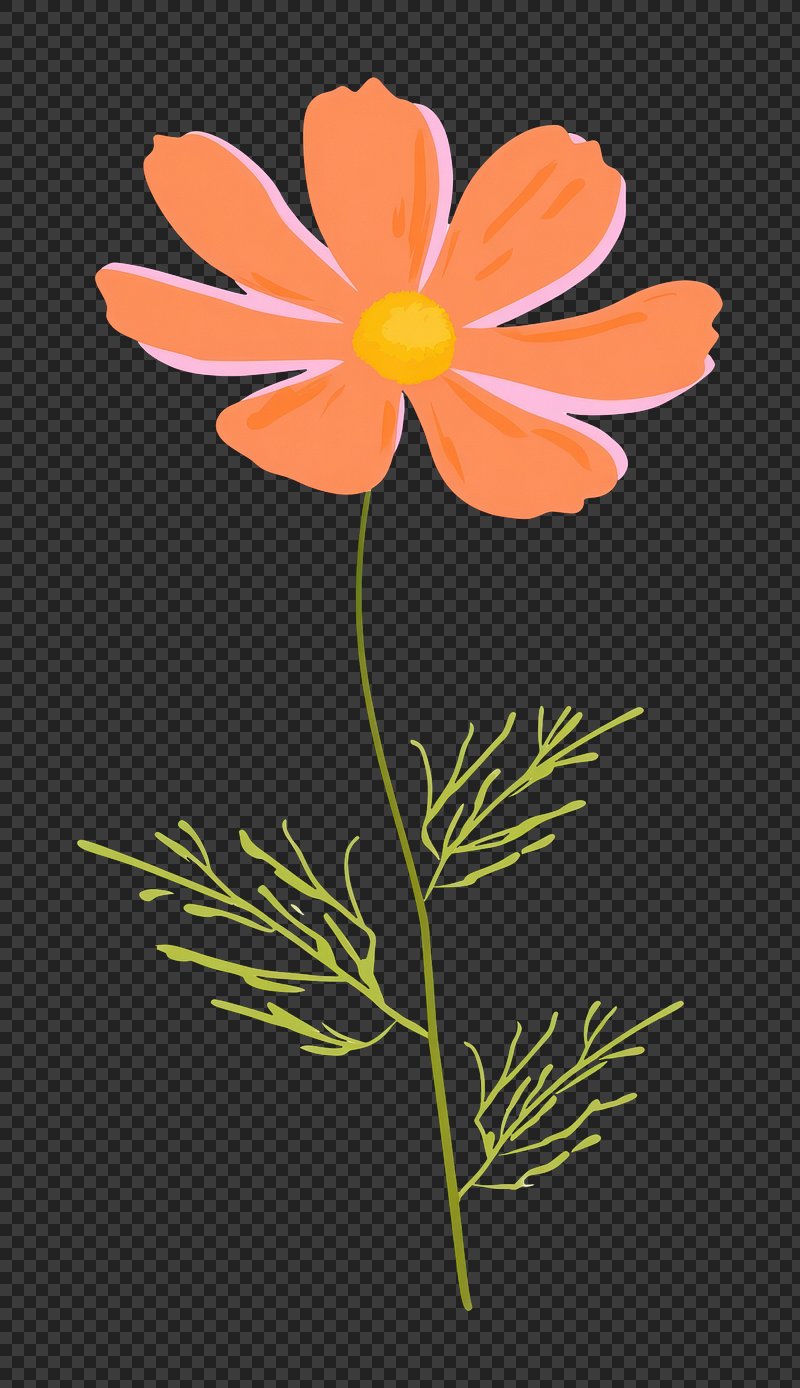 Orange Cosmos Flower Design Images | Free Photos, PNG Stickers ...