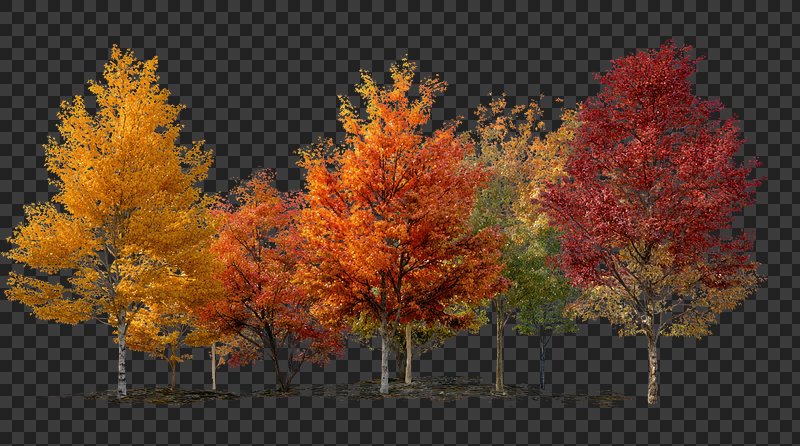 Season Autumn Leaves Illustration Images | Free Photos, PNG Stickers ...