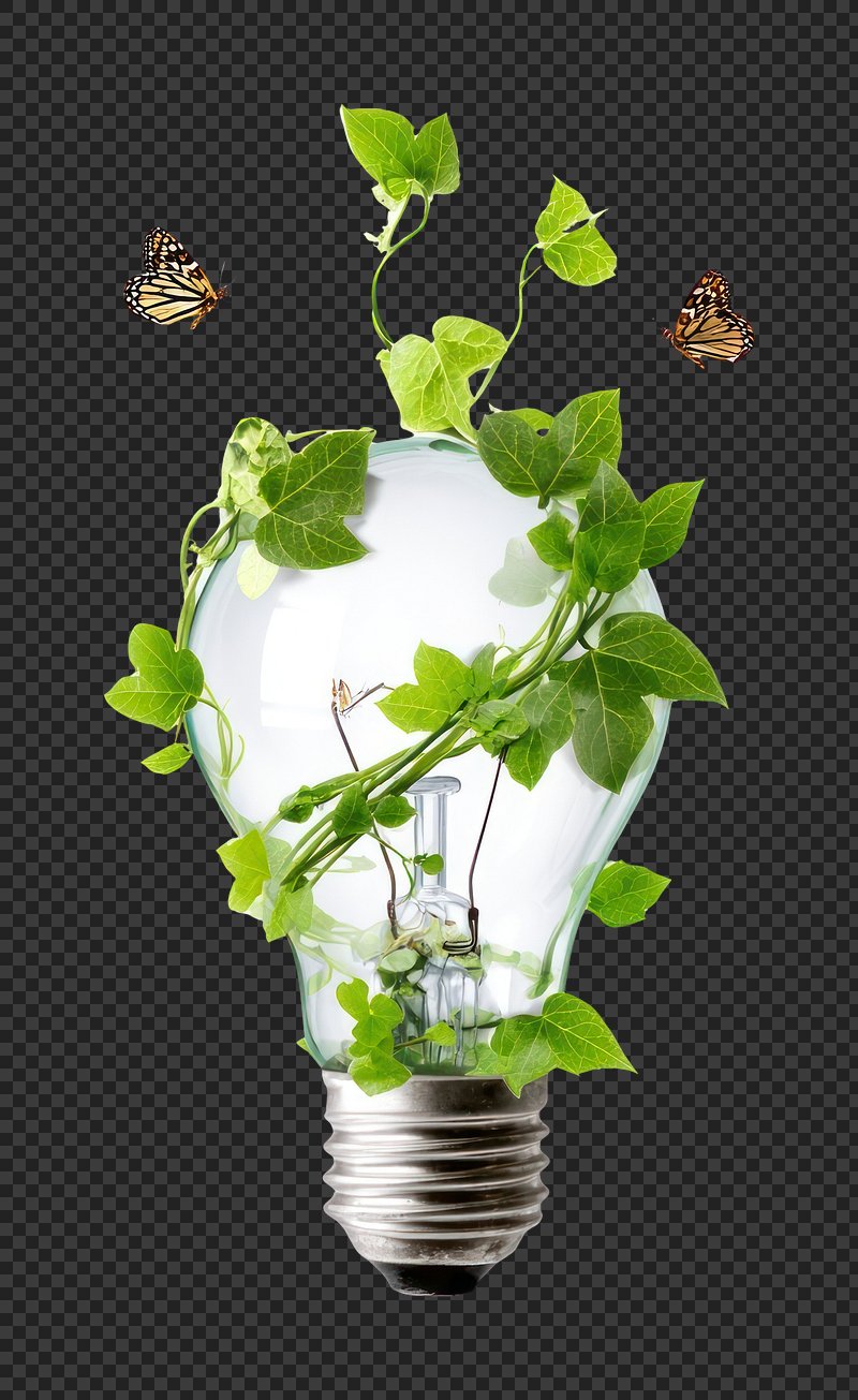 Creative+fly Butterfly Images | Free Photos, PNG Stickers, Wallpapers ...