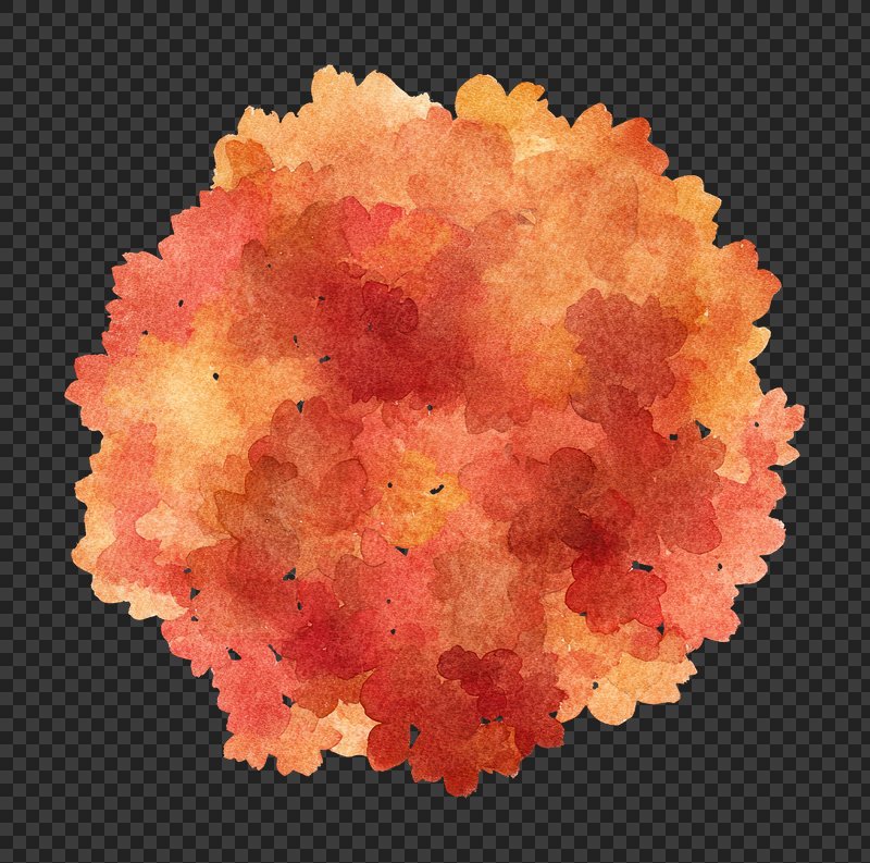 Seasons+circle Illustration Pattern Images | Free Photos, PNG Stickers ...