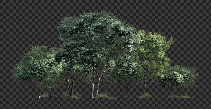 Green+tree+landscape Background Shadow Images | Free Photos, PNG ...