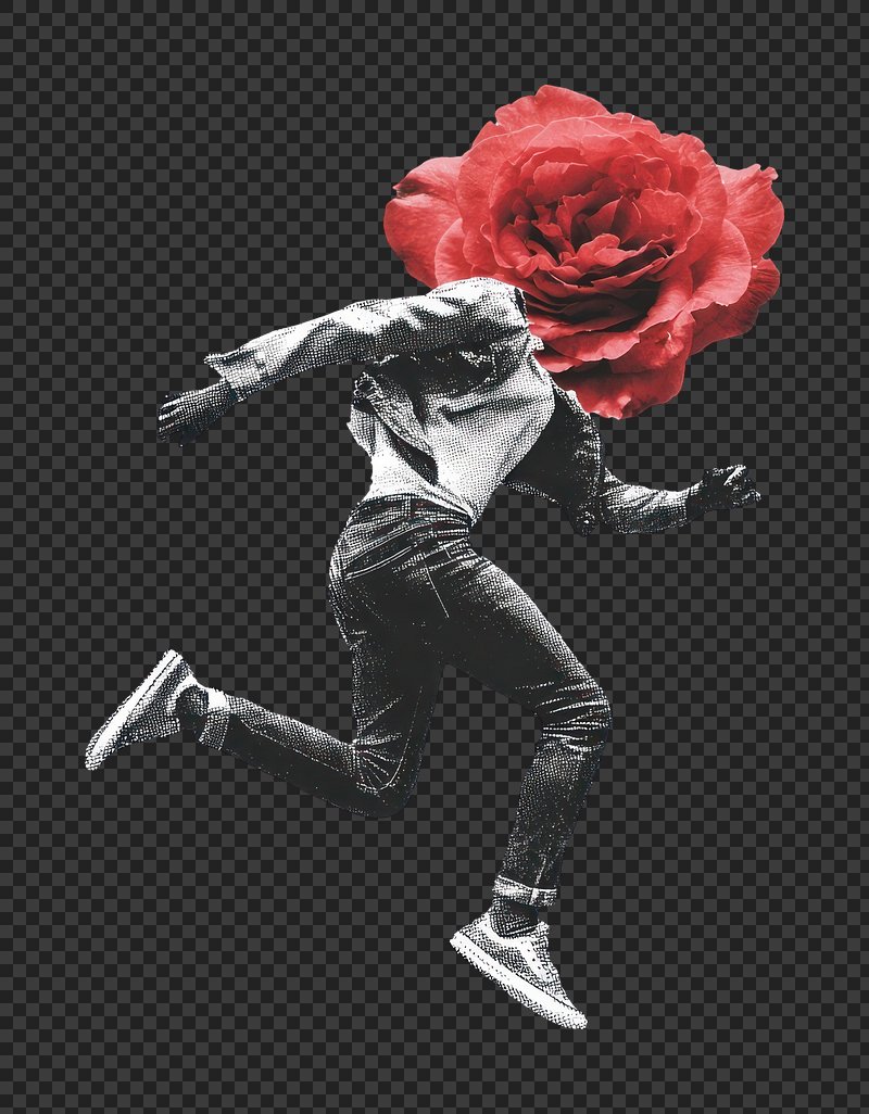 Solid Rose Illustration Images | Free Photos, PNG Stickers, Wallpapers & Backgrounds - rawpixel
