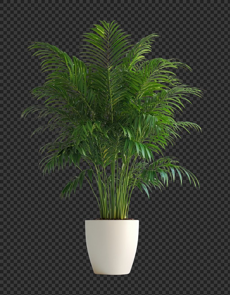 Plant+display+indoor Home Images | Free Photos, PNG Stickers ...