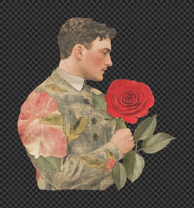 Solid Rose PNG Transparent Shadow Images | Free Photos, PNG Stickers ...