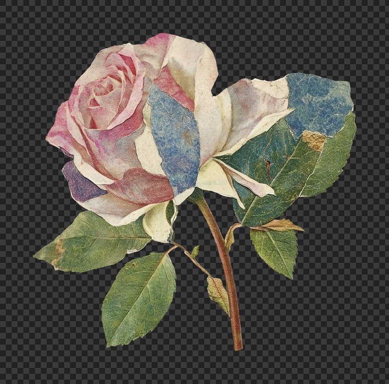 Solid Rose PNG Shadow Vintage Images | Free Photos, PNG Stickers ...