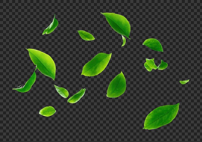 Leaves Photos Green Background Images | Free Photos, PNG Stickers ...