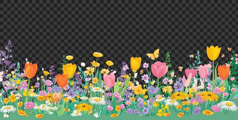 Live Flower PNG Transparent Blossom Nature Images | Free Photos, PNG ...