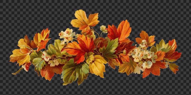 Autumn PNG Transparent Leaves Fall Design Images | Free Photos, PNG ...