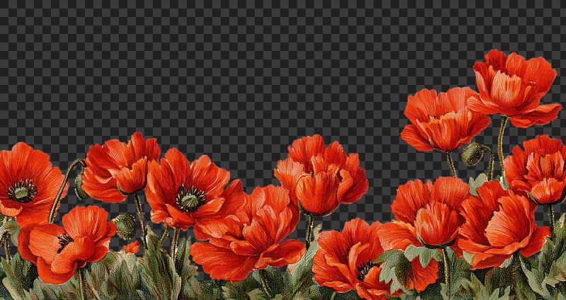 Red Flower Wallpaper Border Floral Images | Free Photos, PNG Stickers ...