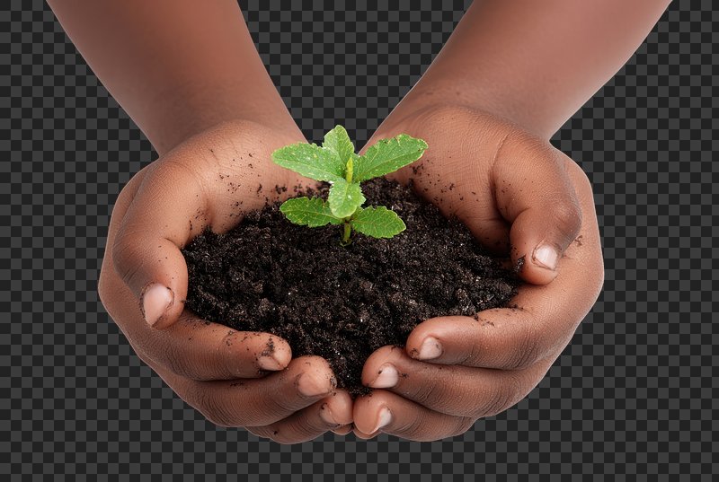 Children Growth Kid PNG Transparent Texture Images | Free Photos, PNG ...