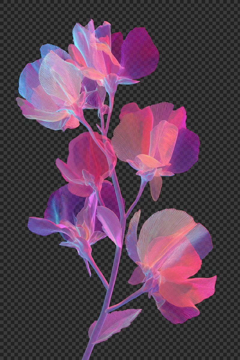 Text Form Neon Aesthetic Images | Free Photos, PNG Stickers, Wallpapers ...