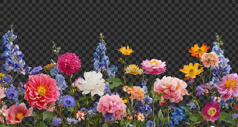 Beautiful+is Background Floral Nature Border Images | Free Photos, PNG ...