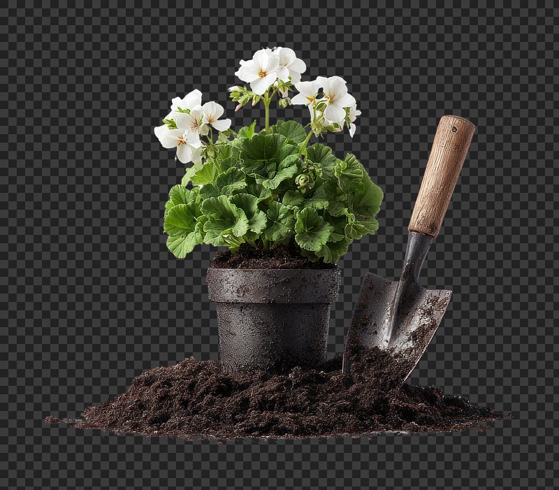 Plant Tools Transparent Images | Free Photos, PNG Stickers, Wallpapers ...