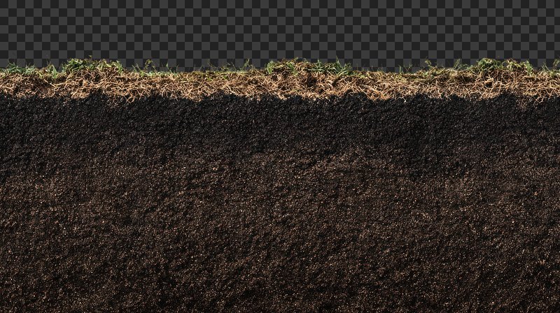 Cross+border Nature Transparent Photo Images | Free Photos, PNG ...