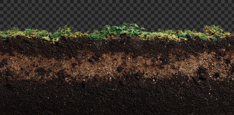 Cross+border Nature Transparent Photo Images | Free Photos, PNG ...