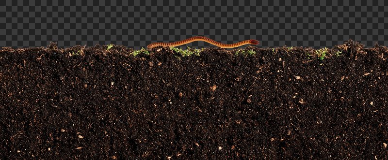 Cross Nature Photo Realistic Background Images | Free Photos, PNG ...