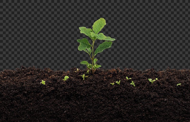 Rich Young Nature Images | Free Photos, PNG Stickers, Wallpapers ...