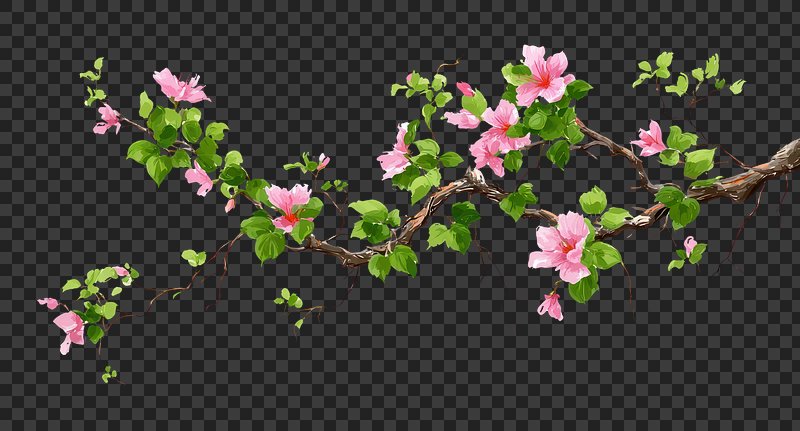 Woody+art Pattern Images | Free Photos, PNG Stickers, Wallpapers ...