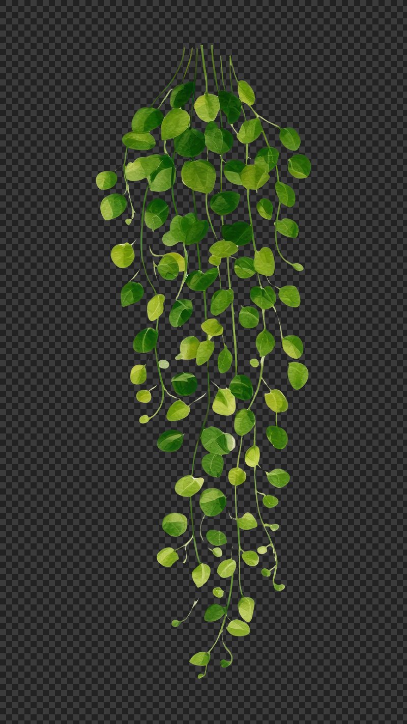 Border+of+leaves+ Green Illustration Images | Free Photos, PNG Stickers ...