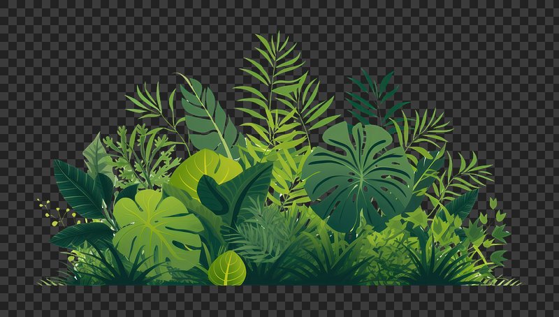 Jungle Design Green Images | Free Photos, PNG Stickers, Wallpapers ...