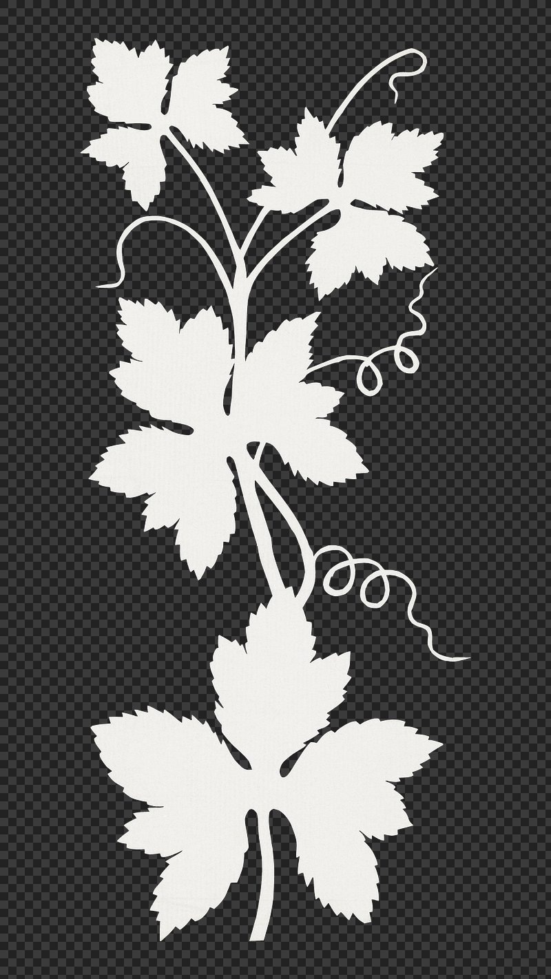 Transparent Floral Nature Botanical PNG Images | Free Photos, PNG ...