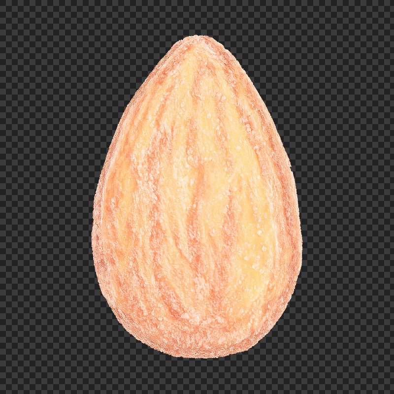 Transparent Nuts Texture Art PNG Drawing Images | Free Photos, PNG ...