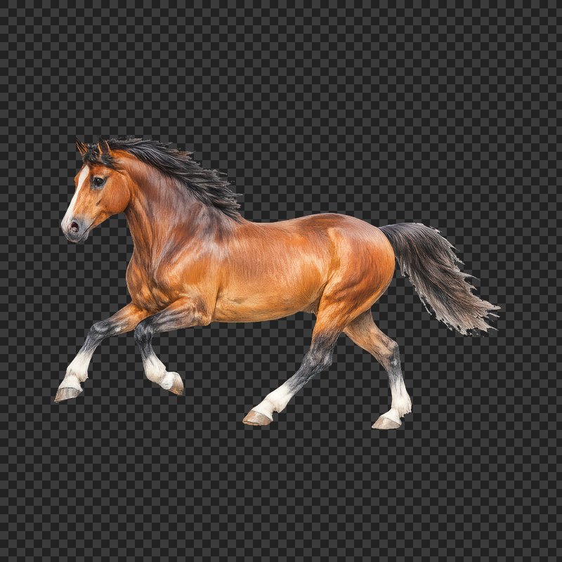 PNG Running Transparent Background Style Images | Free Photos, PNG ...