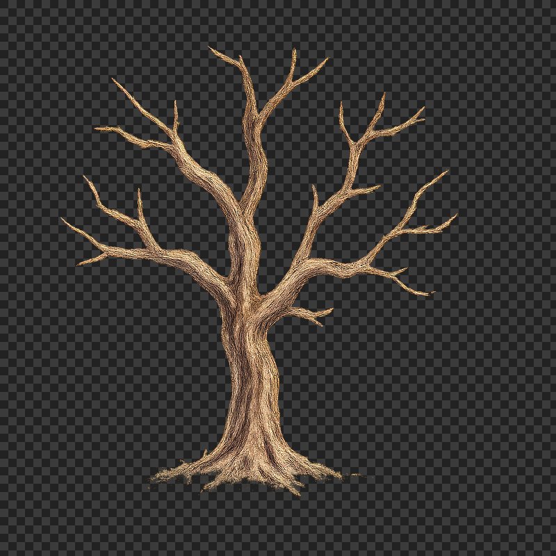 Leafless+tree PNG Images | Free Photos, PNG Stickers, Wallpapers & Backgrounds - rawpixel