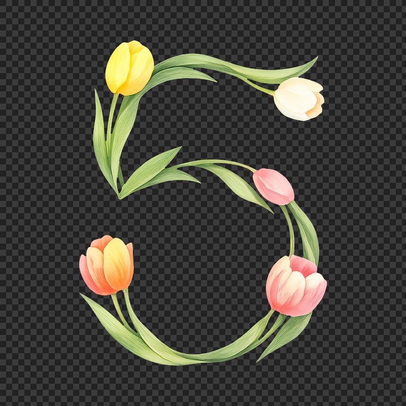 PNG Leaf Line Art Botanical Watercolor Images | Free Photos, PNG ...